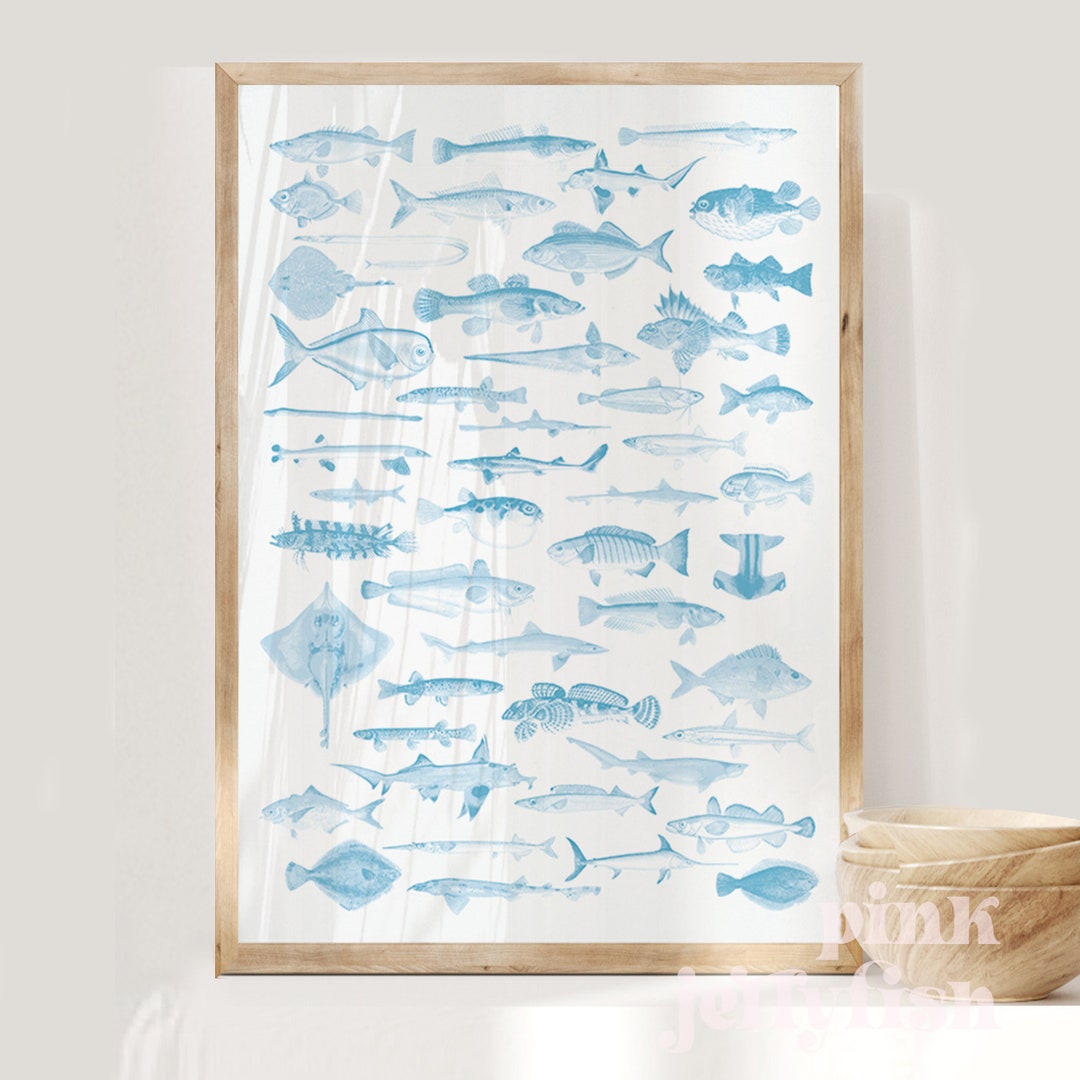 Vintage Blue Fish Species Beach Print, Beach Wall Art, Trendy Beachy ...