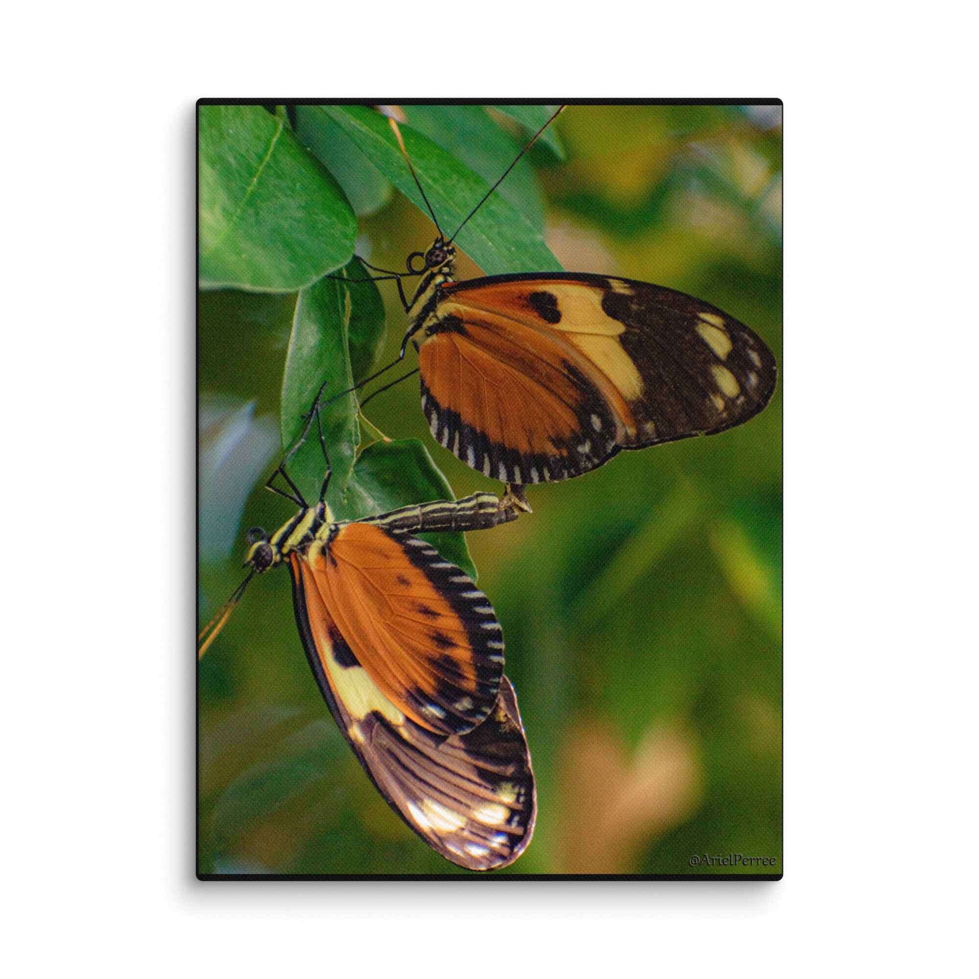 DND Canvas Print - Etsy