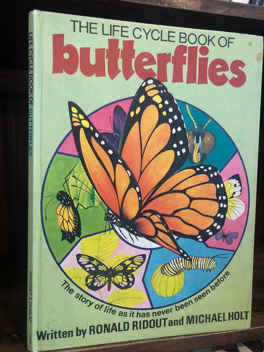 The Life Cycle Book of Butterflies - Etsy