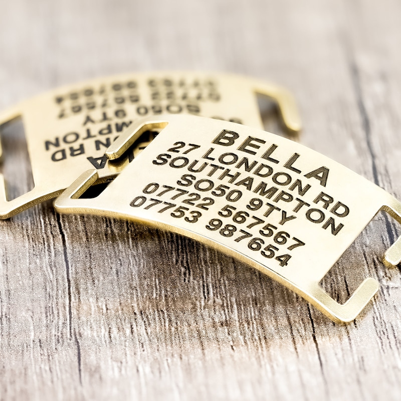 Slip Clip Dog Collar - Etsy UK