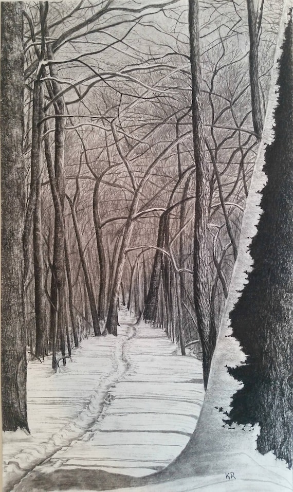 Winter Forest Drawing