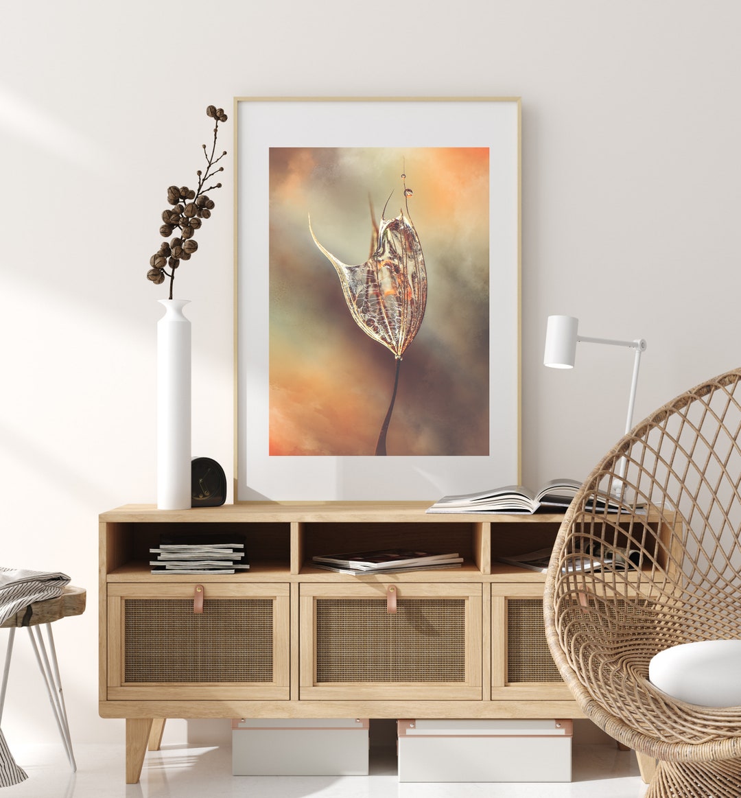 Dandelion Tuft Macro Art Print: Nature Home Decor - Etsy