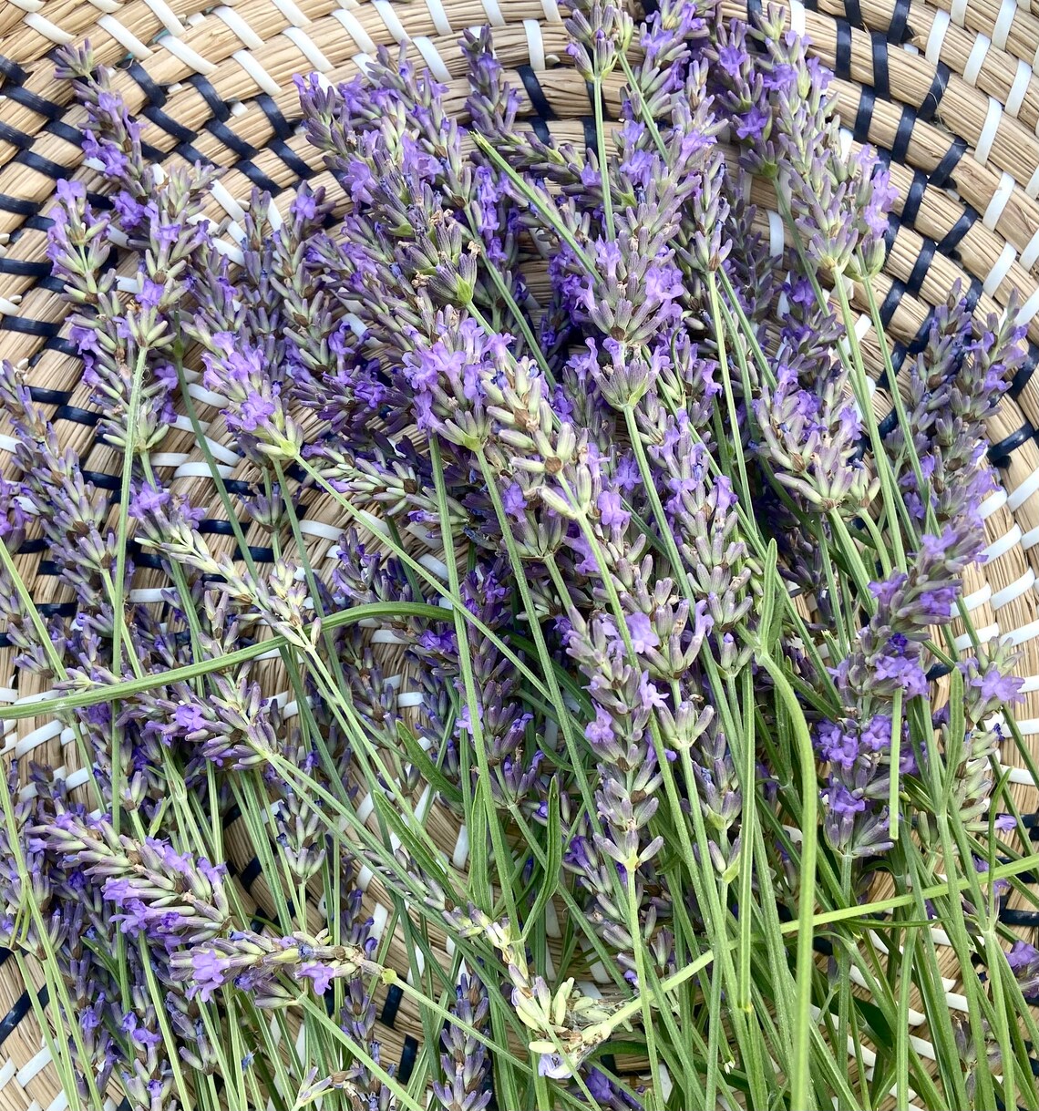 Singular Herb Lavender Dream Pillow, Pouch With Organically Grown ...