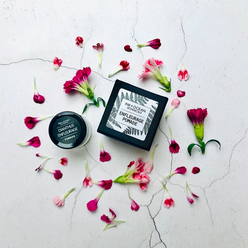 Dianthus Carnation Flower Enfleurage Pomade Vegan Botanical - Etsy UK