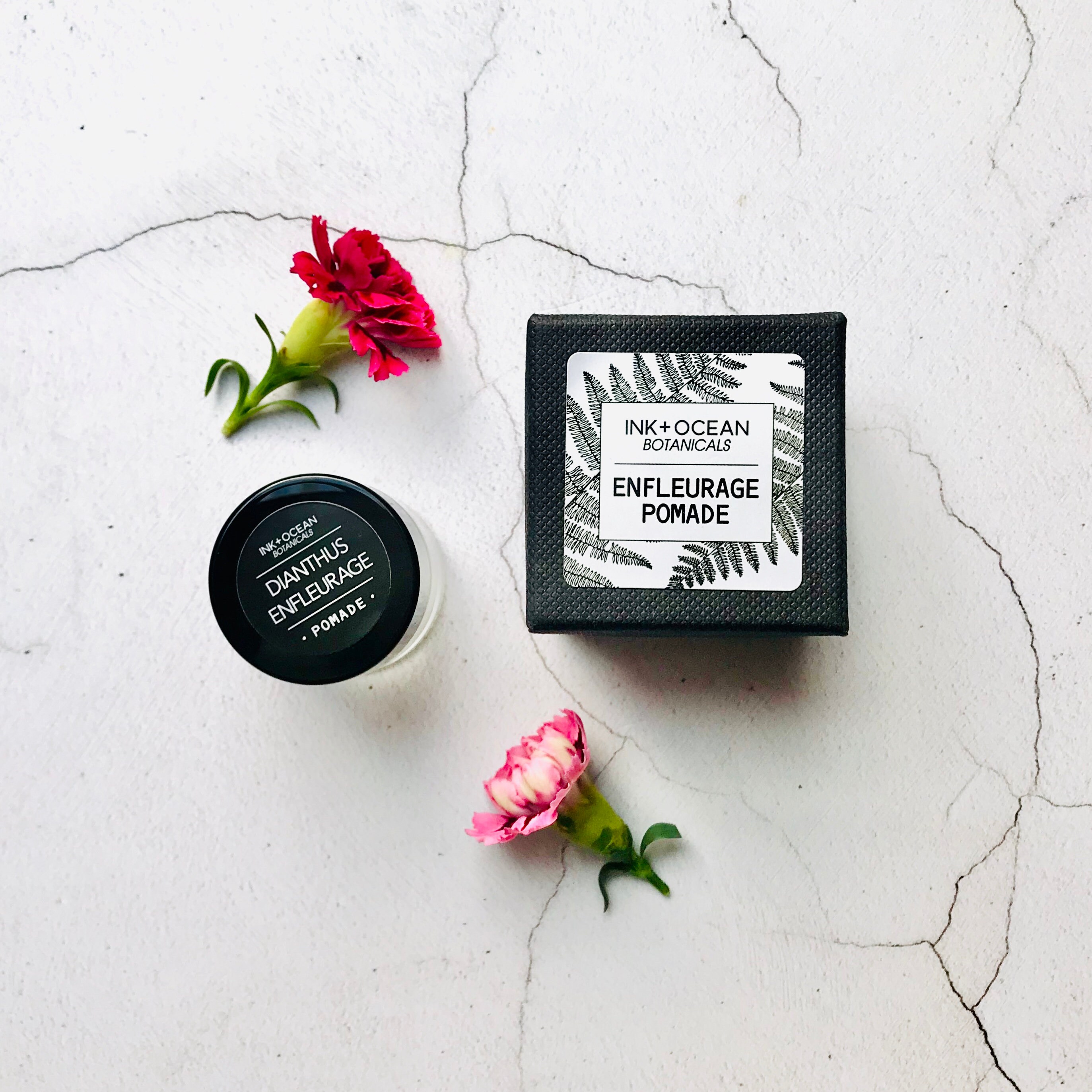Dianthus Carnation Flower Enfleurage Pomade Vegan Botanical - Etsy UK