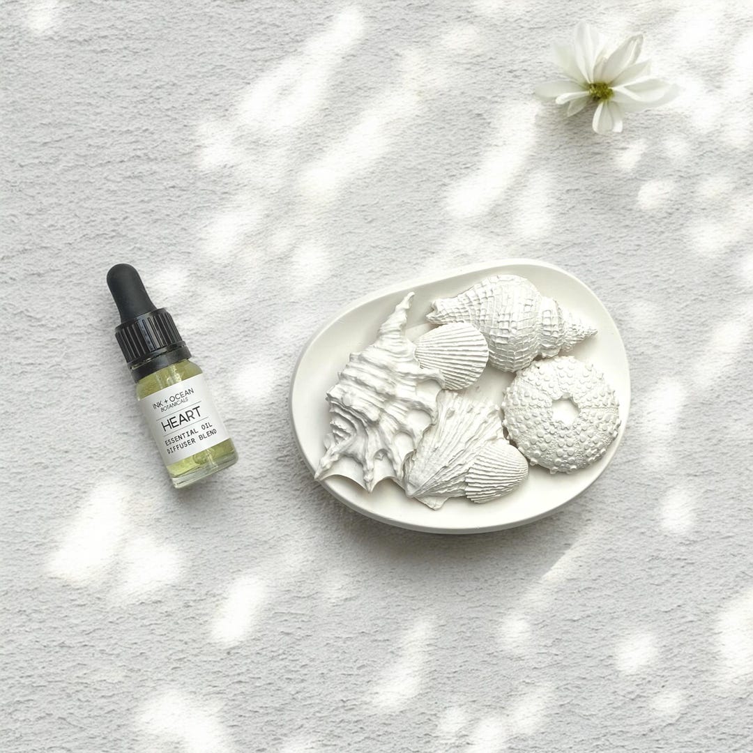 Shells Aroma Stone Diffuser Made From Natural Plaster Cast ...