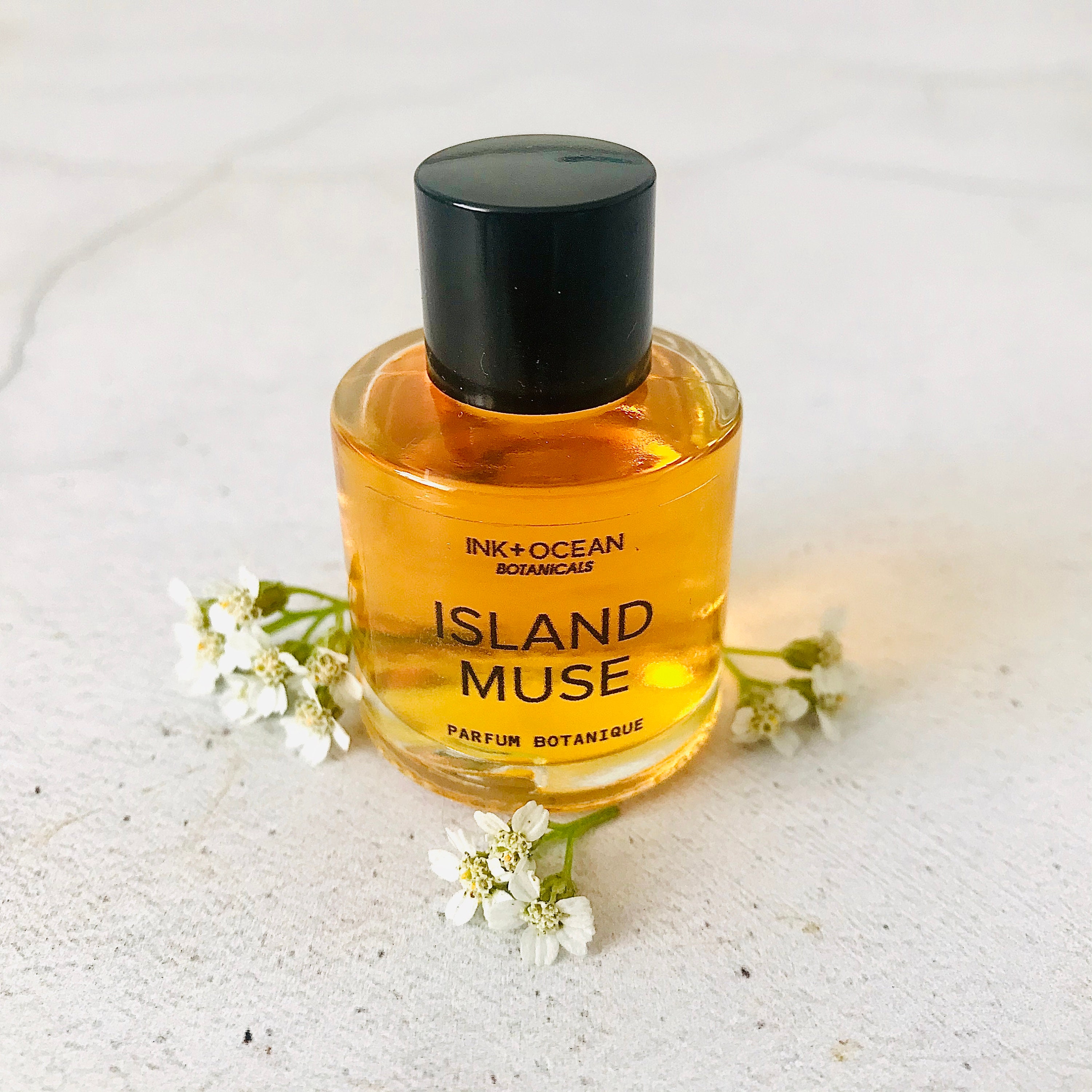 Island Muse Natural Botanical Vegan Perfume Oil. Coconut | Etsy