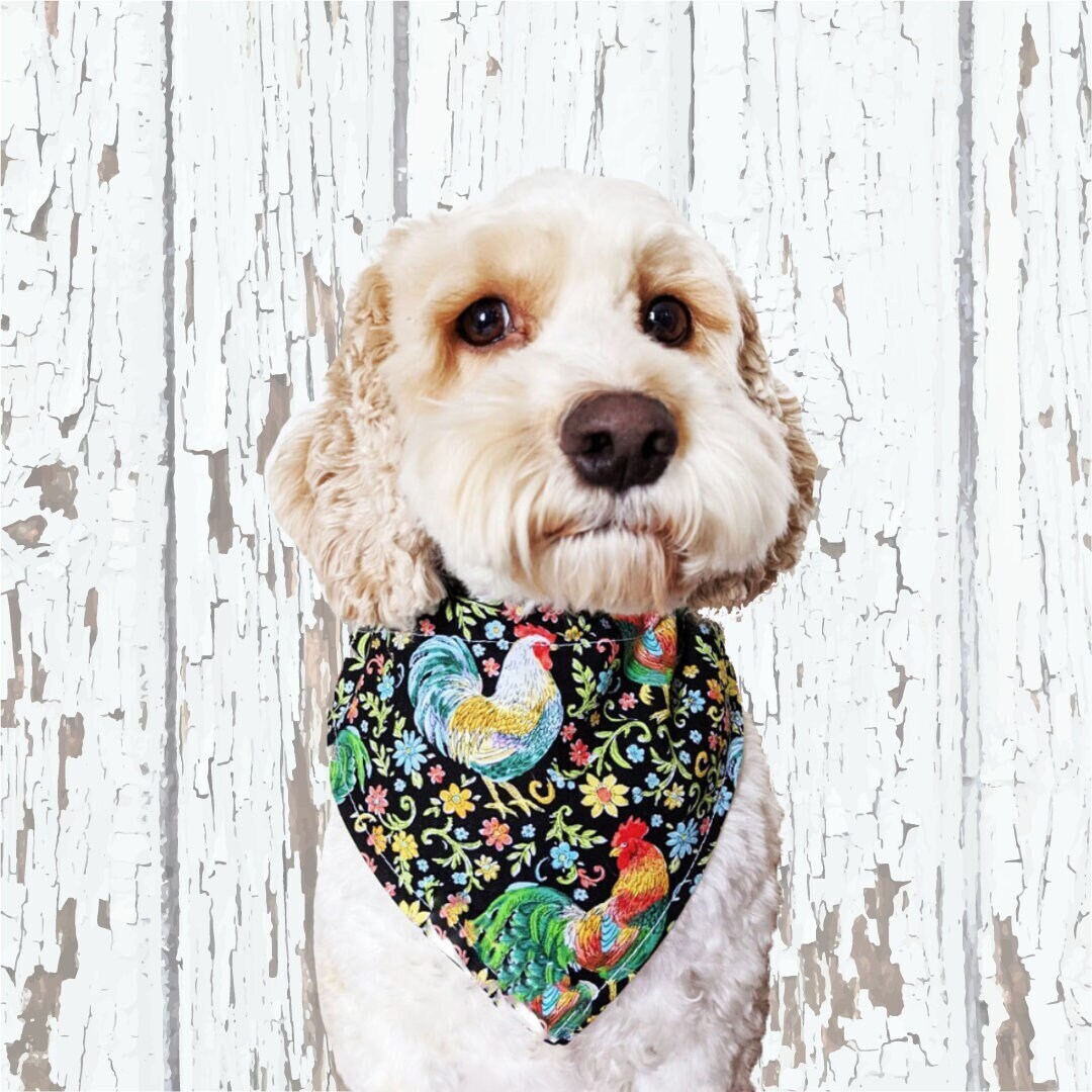 Farmhouse Rainbow Roosters Slip on Dog Bandana by Cheffy and Co - Etsy