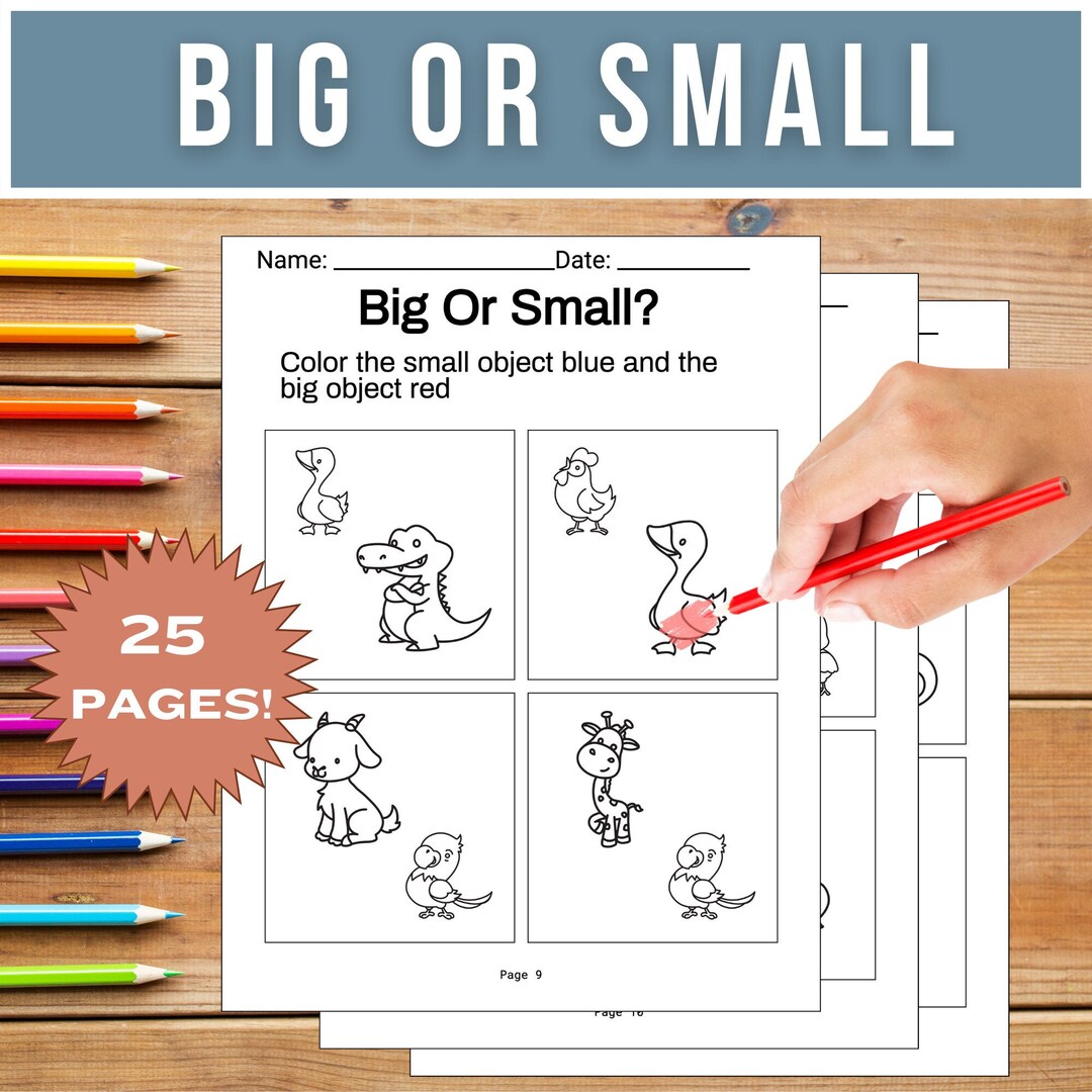 Big Small Worksheet Preschool Activities Printable Worksheet ...