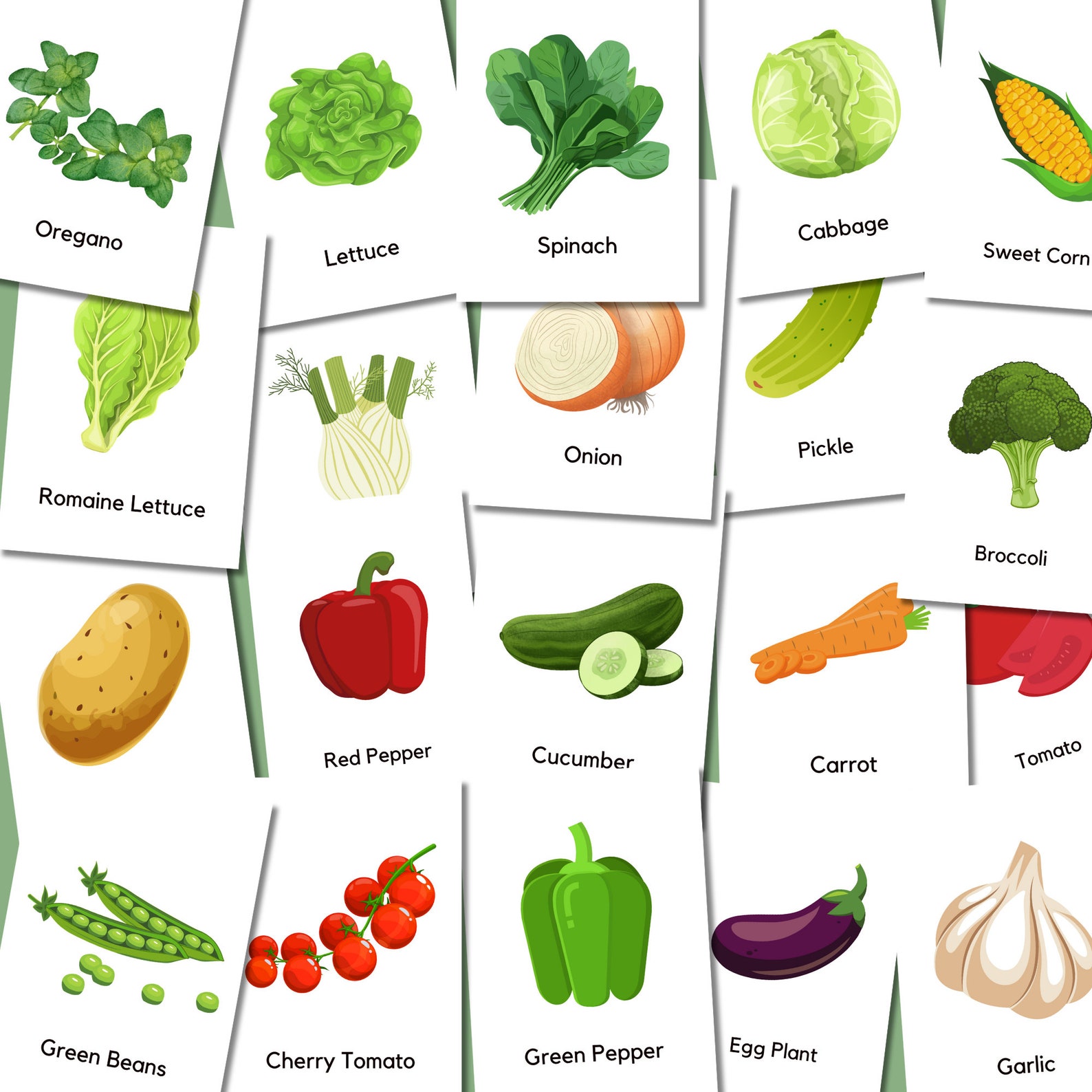 Vegetable Flashcard Montessori Learning Printable Vegetable Card ...
