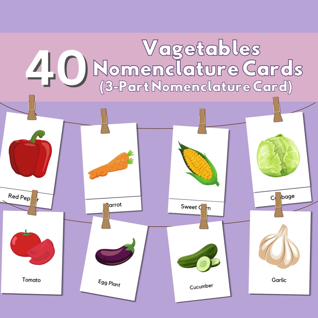 Vegetable Flash Card Montessori Nomenclature Flashcard Homeschooling ...
