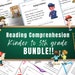 Reading Comprehension Worksheet Bundle Educational Printable 2nd Grade ...