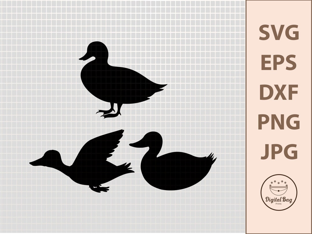 Duck SVG, Bird SVG, Duck PNG, Svg Files for Cricut, Duck Clipart ...