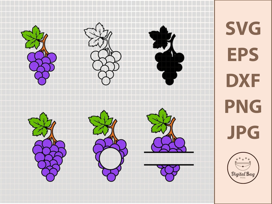 Grapes SVG Bundle: Fruit Clipart, Cricut & Silhouette (digital Download ...