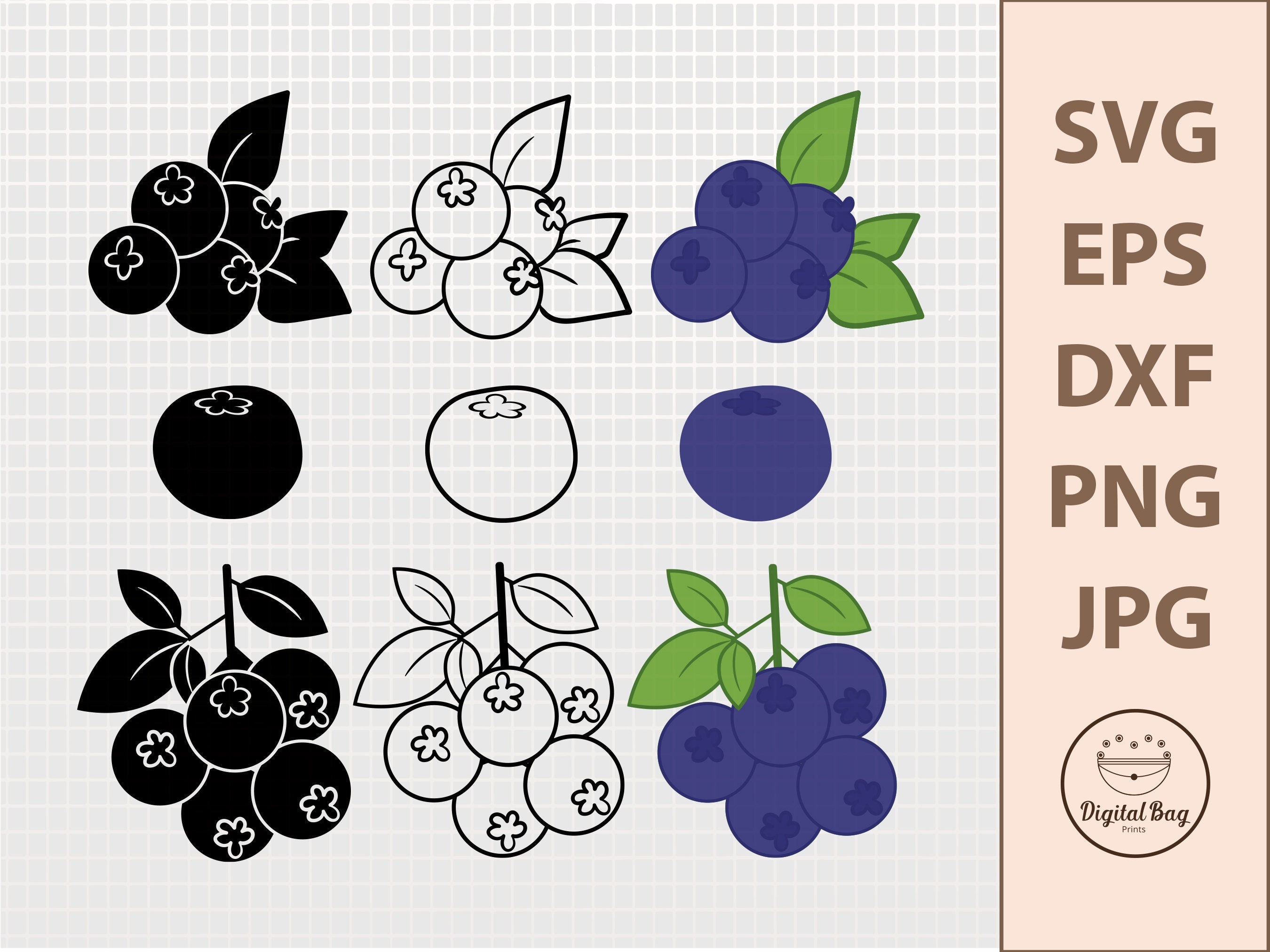 Blueberries SVG, SVG Bundle, Fruit SVG, Svg Files for Cricut, Summer ...
