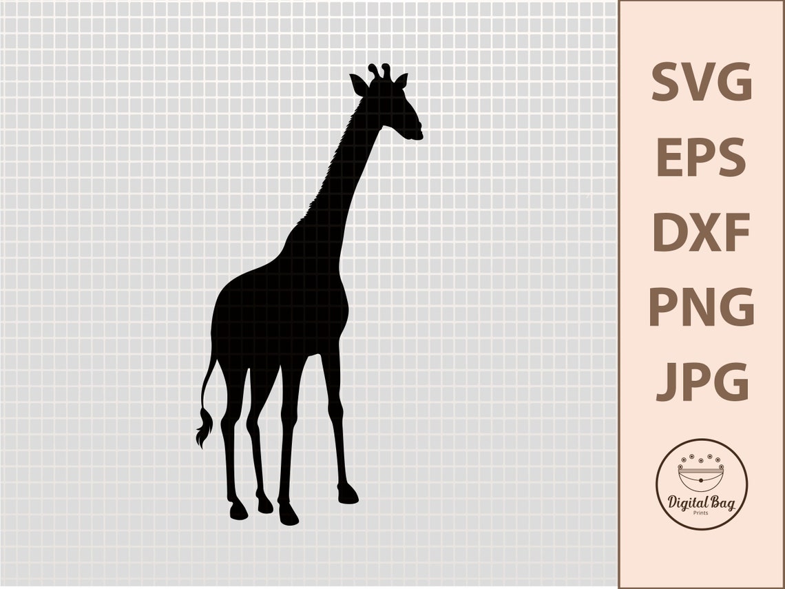 Giraffe SVG, Animal SVG, Giraffe PNG, Svg Files for Cricut, Silhouette ...