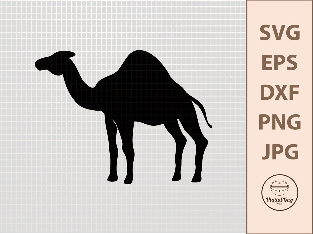 Camel SVG, Animal SVG, Camel Clipart, SVG Files for Cricut, Silhouette ...