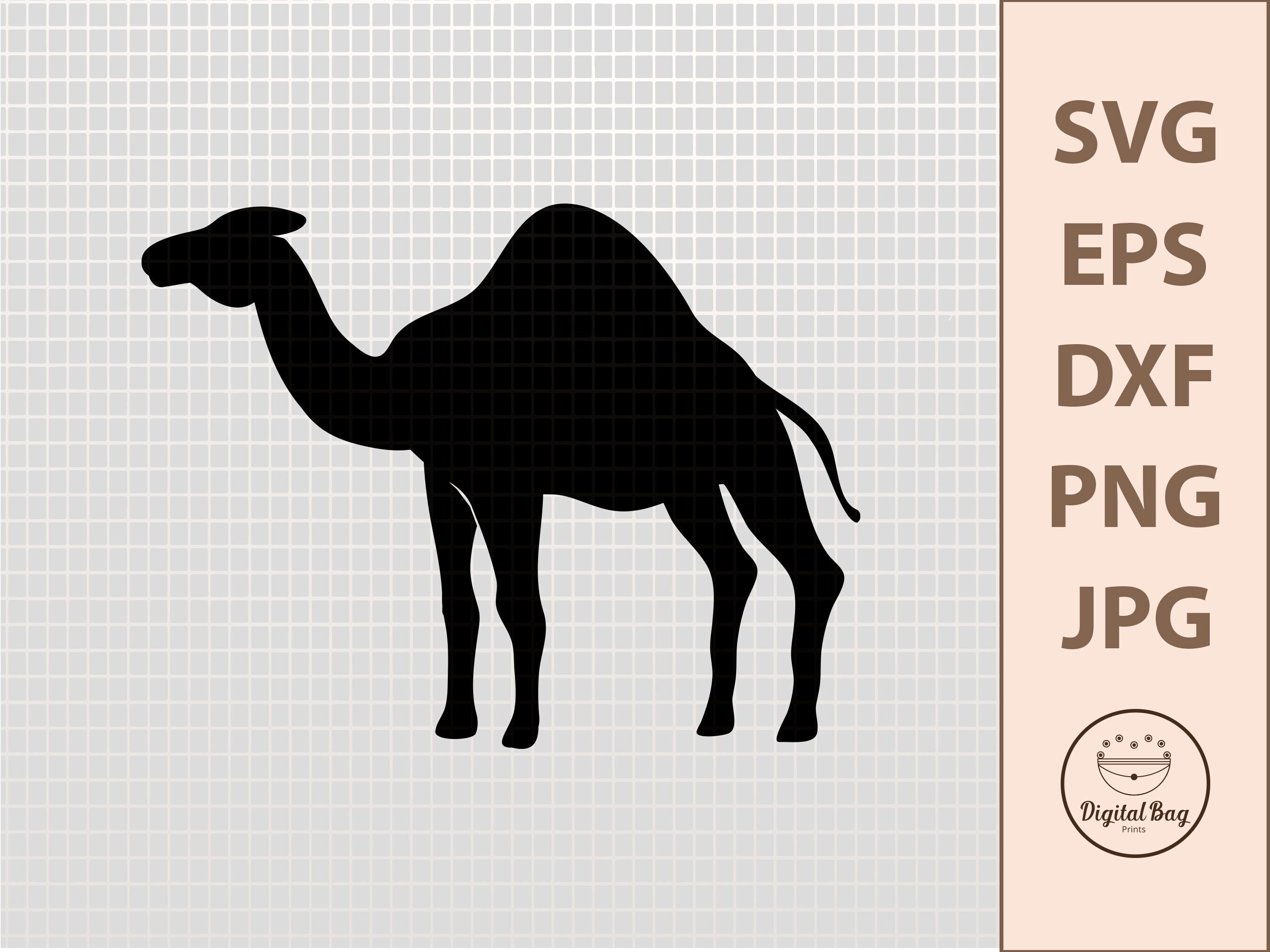 Camel SVG, Animal SVG, Camel Clipart, SVG Files for Cricut, Silhouette ...