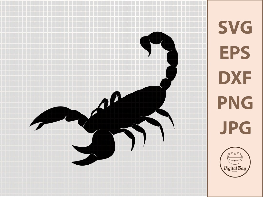 Scorpion SVG, Insect SVG, Scorpion PNG, Animal Svg, Zodiac Svg, Svg ...