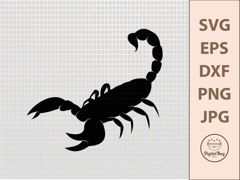 Scorpion SVG, Insect SVG, Scorpion PNG, Animal Svg, Zodiac Svg, Svg ...
