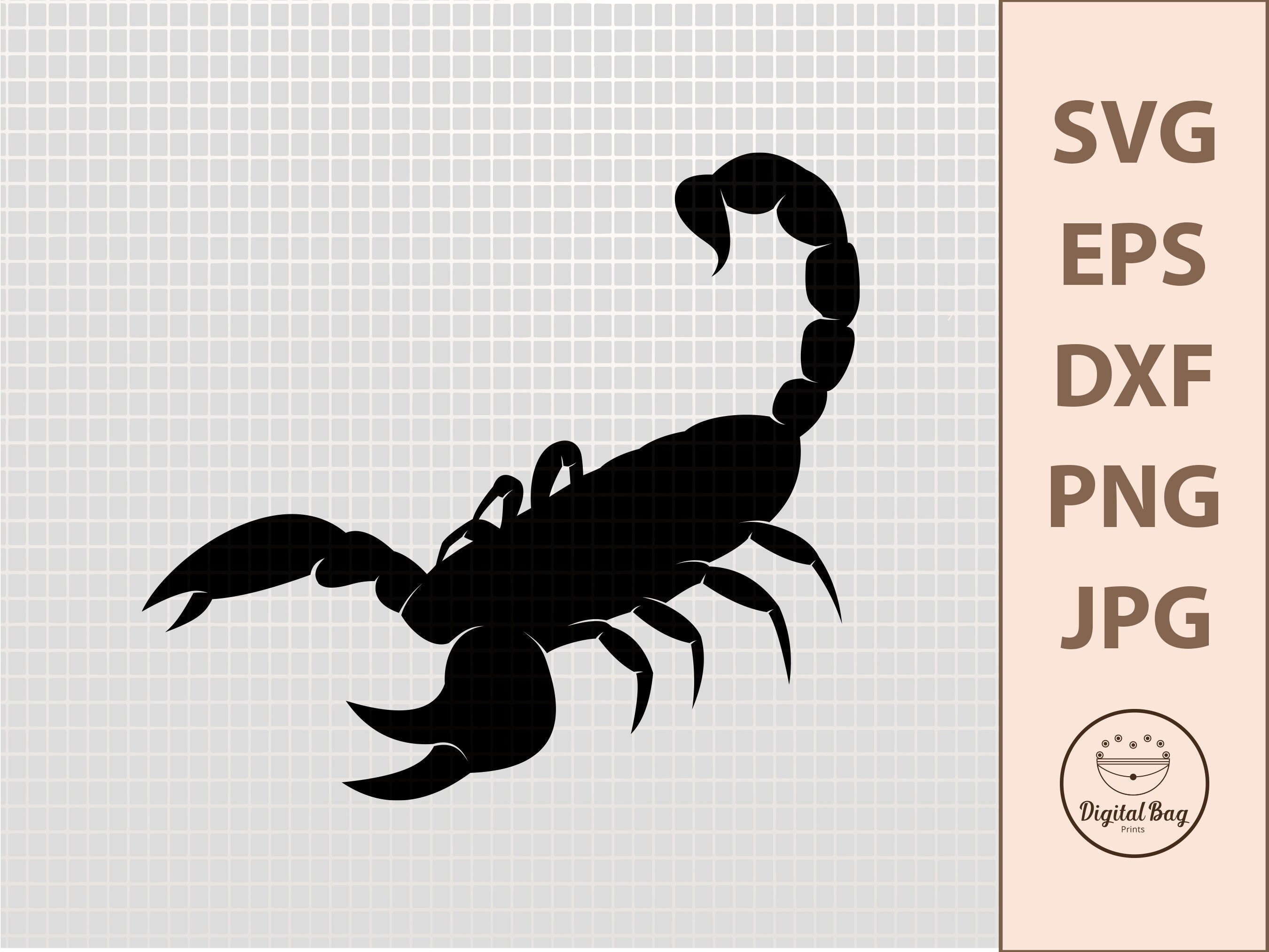 Scorpion SVG, Insect SVG, Scorpion PNG, Animal Svg, Zodiac Svg, Svg ...