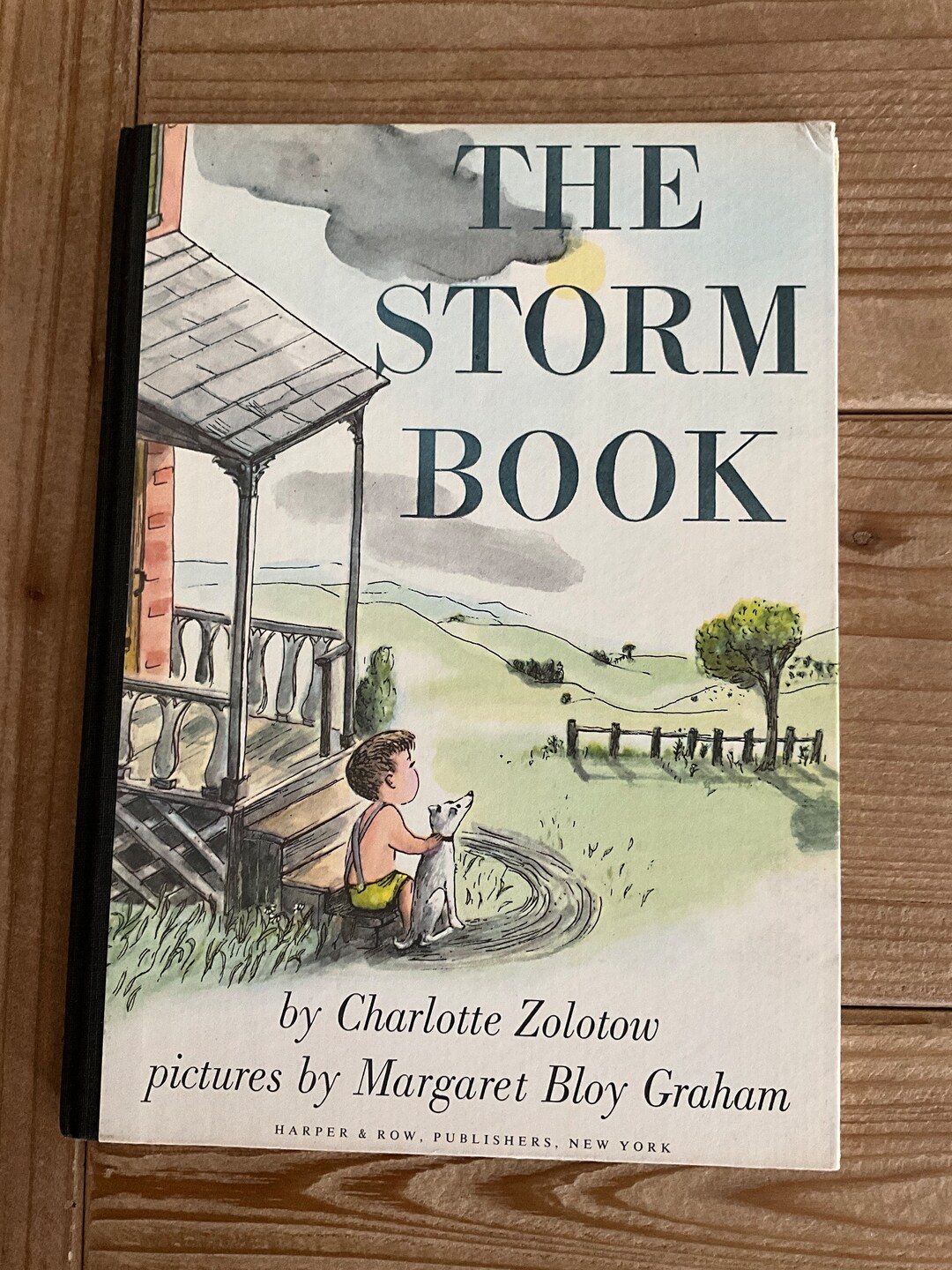 The Storm Book by Charlotte Zolotow - Etsy