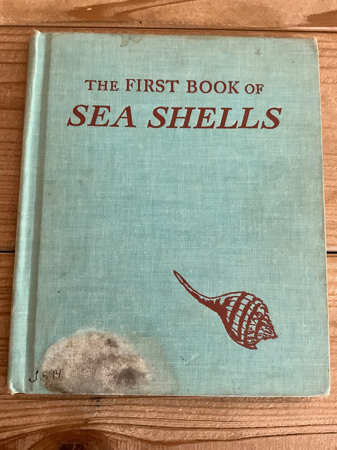The First Book of Sea Shells by Betty Cavana - Etsy