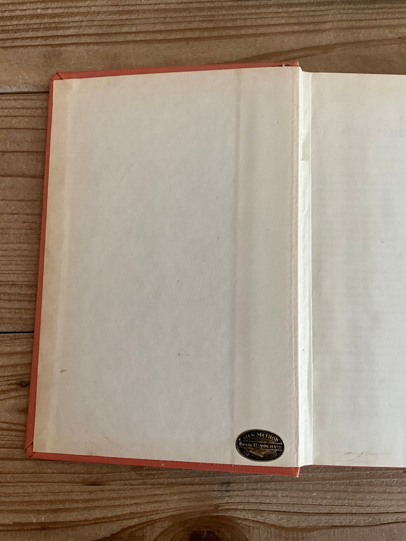 Vintage Copy of Little Plum by Rumer Godden - Etsy