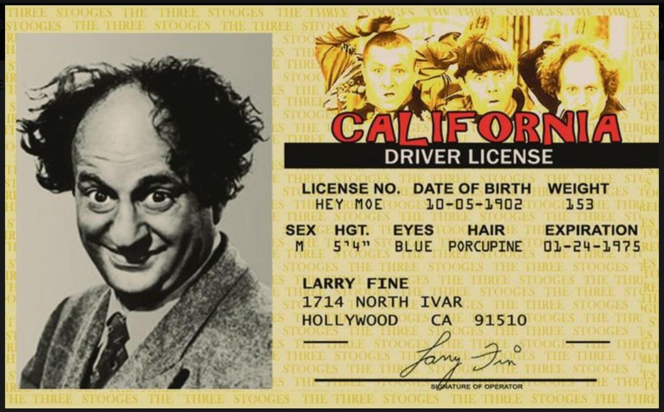 Larry Fine three Stooges License on a Laminated ID Card 3.4 - Etsy