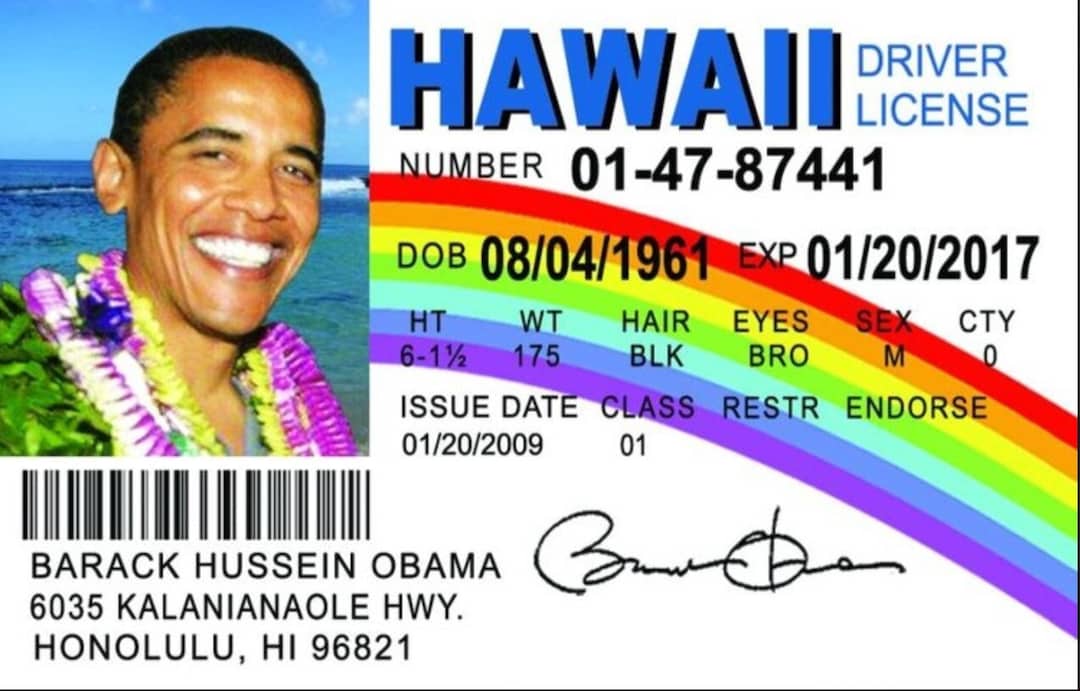 Barack Obama Drivers License on a Laminated ID Card 3.4”x 2.2”. A Gift ...