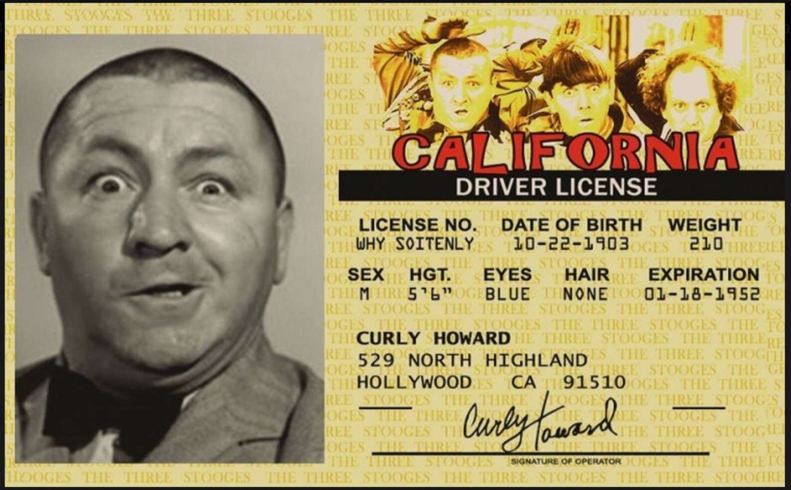 Curly Howardthree Stooges License on a Laminated ID Card 3.4 - Etsy