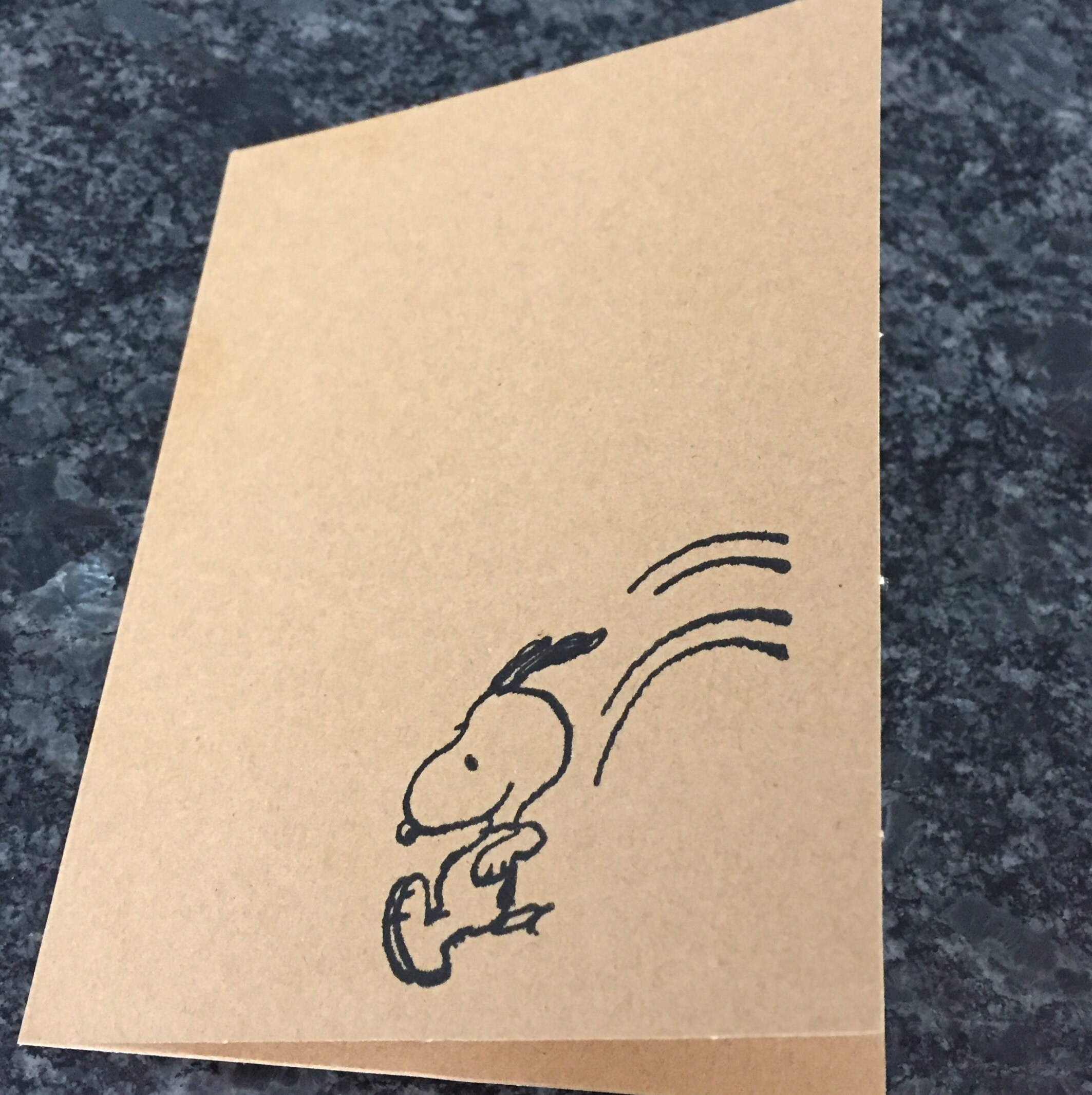 Snoopy Greeting Cards_Set of 5 with Envelopes_Blank | Etsy