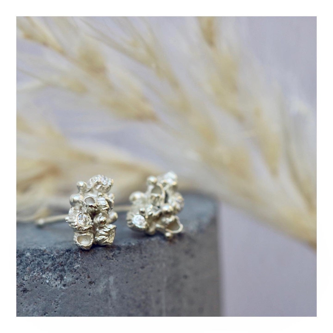 Mollusc , Barnacle Cluster Studs - Etsy UK