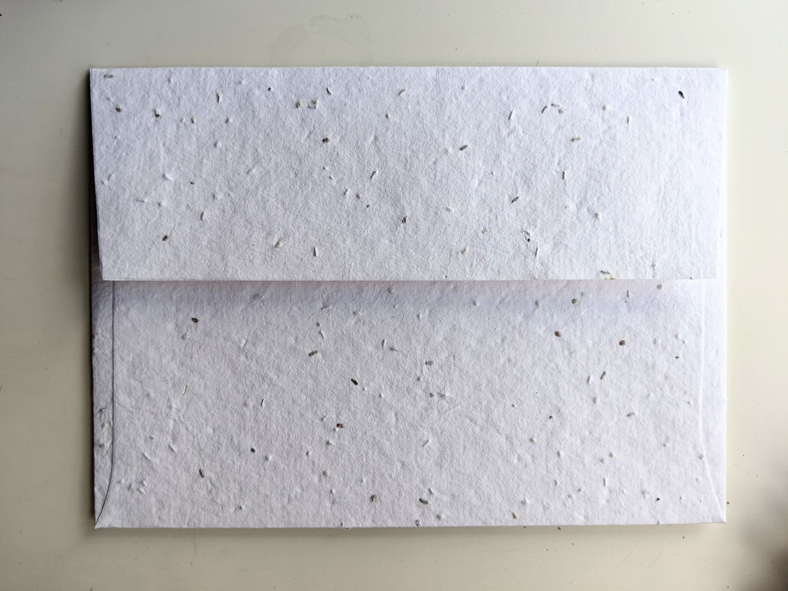 Plantable Card Envelope Wild Flower Seeds, Christmas Trees Merry ...