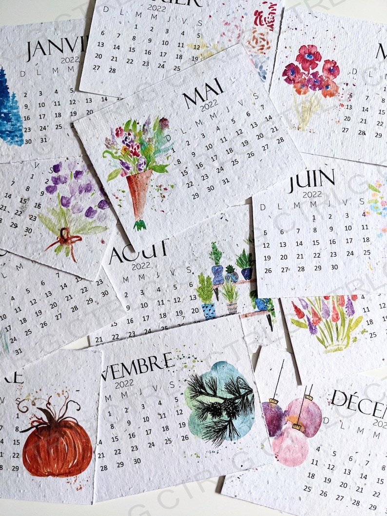 Plantable Calendar 2026, Wild Flower Seeds, Calendar on White Wild ...