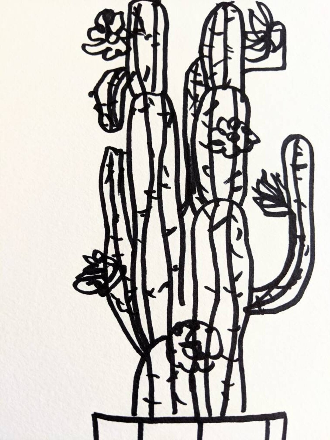 Black Marker Drawing of Cactus Plant on Perle White Paper, Art Piece ...