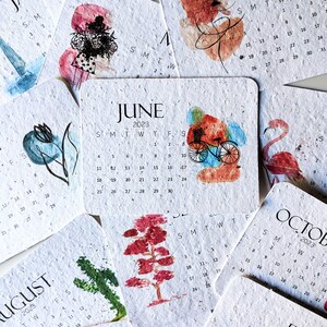 Plantable Calendar 2026, Wild Flower Seeds, Calendar on White Wild ...