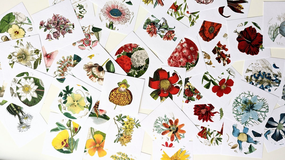 Round Flower Sticker Pack, Botanical Stickers, Junk Journal Stickers ...