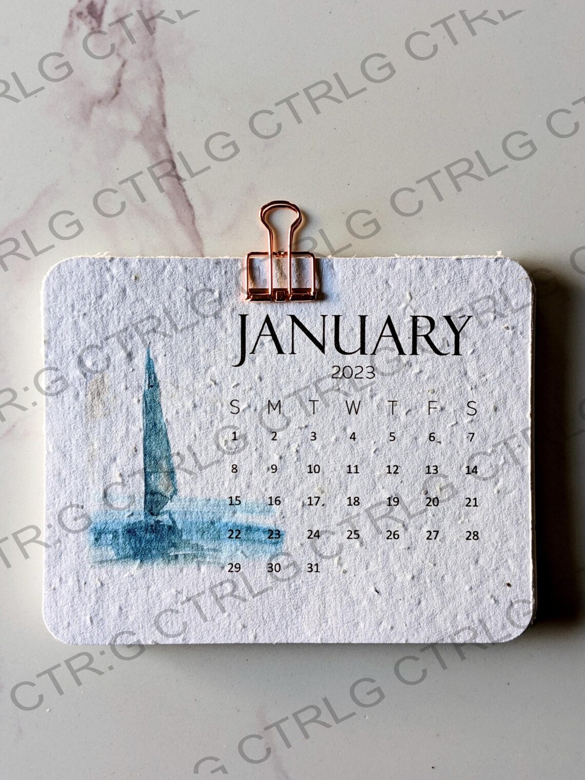 Plantable Calendar 2026, Wild Flower Seeds, Calendar on White Wild ...