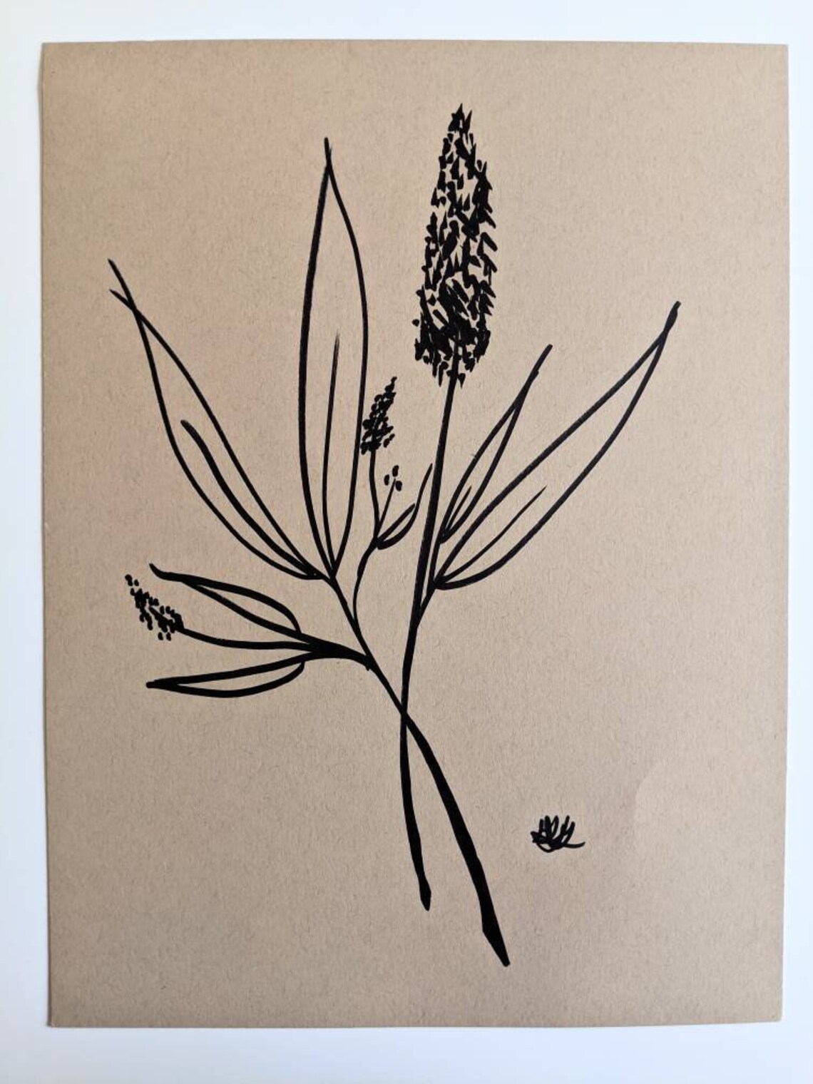Flower Plants, Black Marker Drawing on Brown Beige Recycled Paper ...