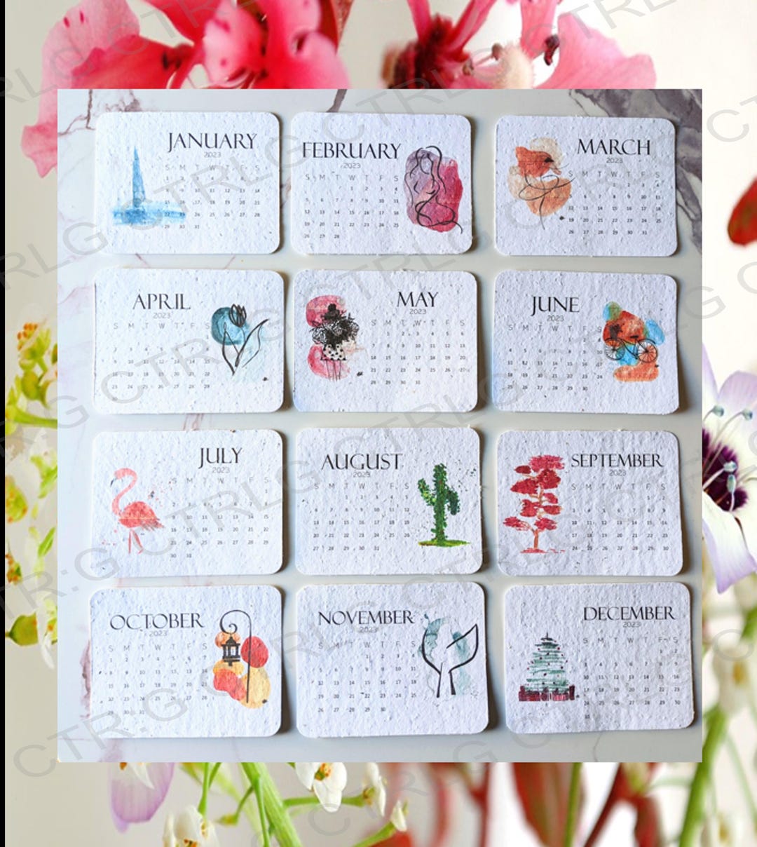 Plantable Calendar 2026, Wild Flower Seeds, Calendar on White Wild ...