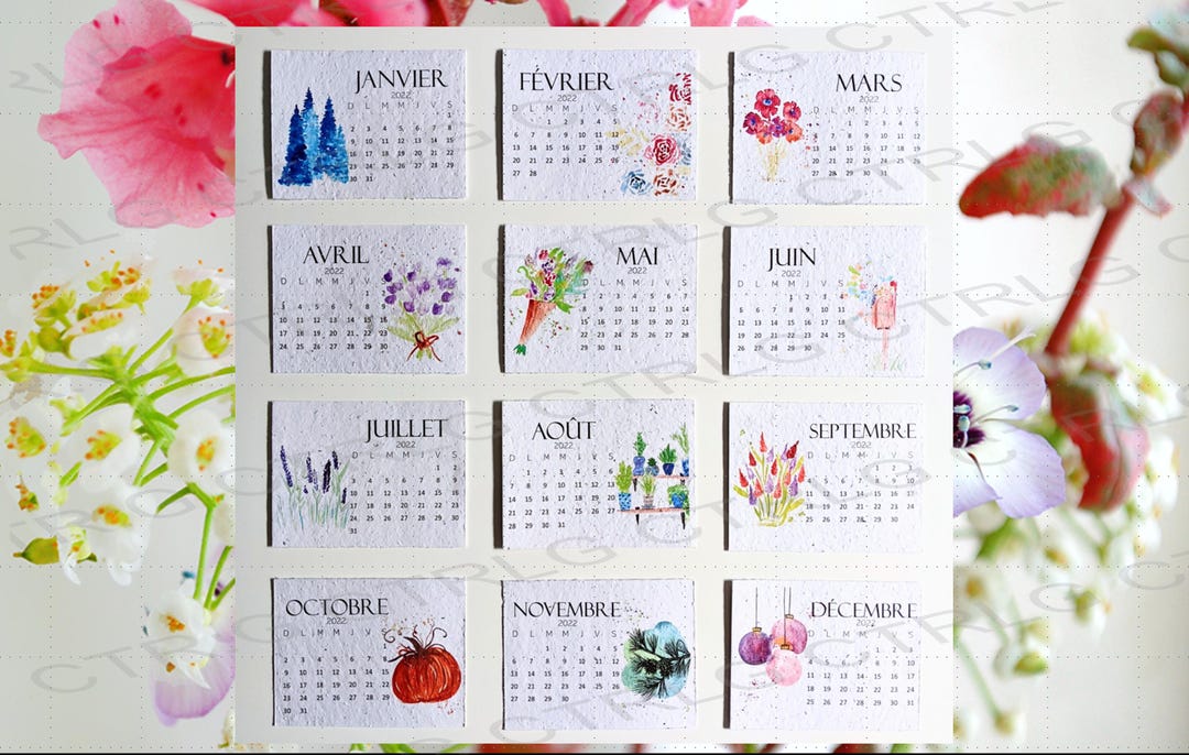 Plantable Calendar 2026, Wild Flower Seeds, Calendar on White Wild ...