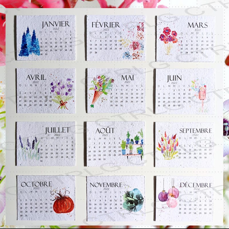 Flower Seed Paper Gifts - 60+ Gift Ideas for 2025