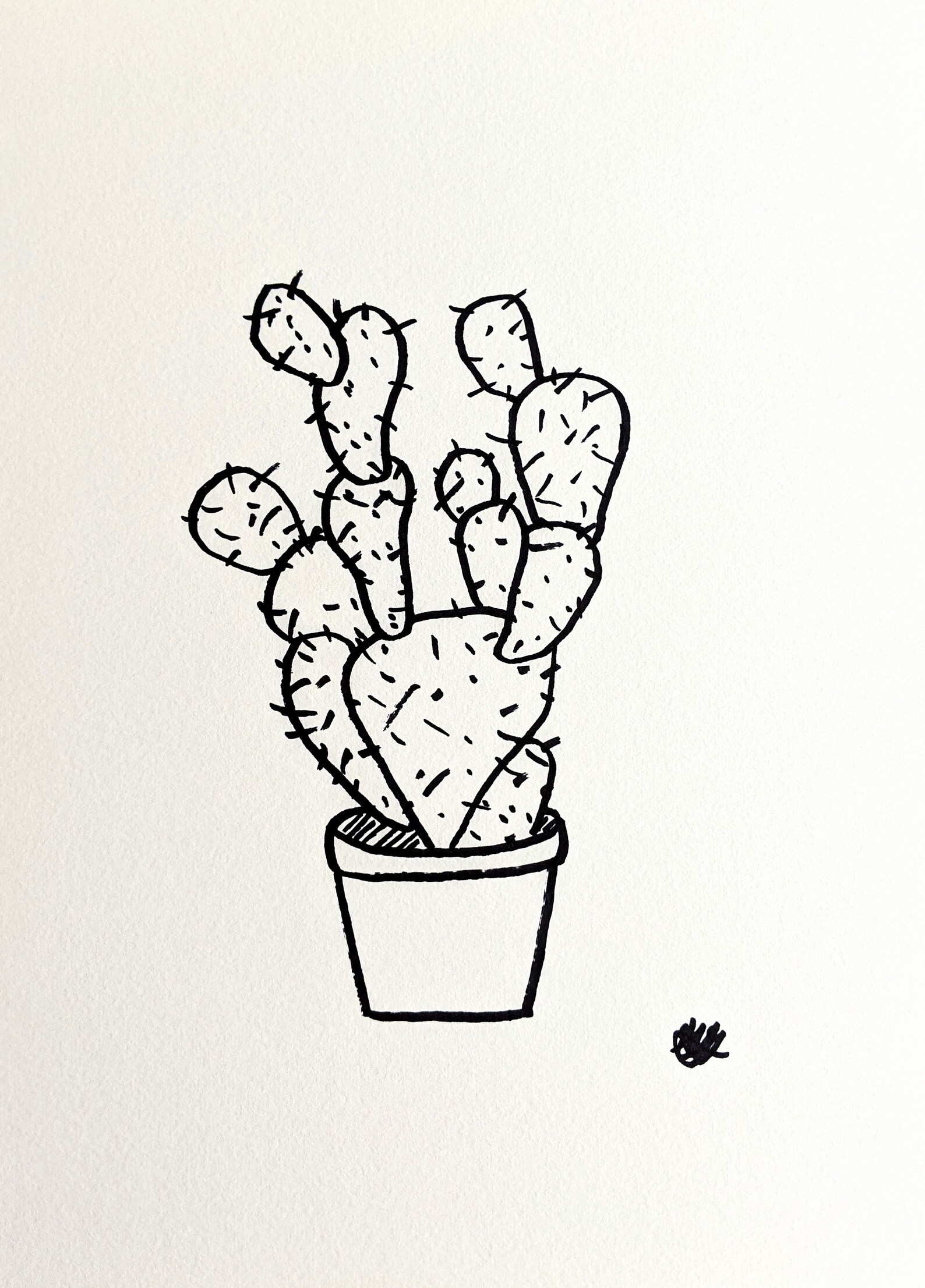 Black Marker Drawing of Cactus on Perle White Paper, Art Piece, Decor ...