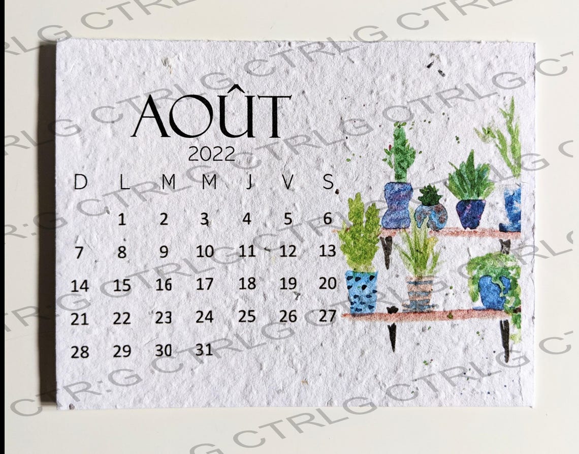 Plantable Calendar 2026, Wild Flower Seeds, Calendar on White Wild ...