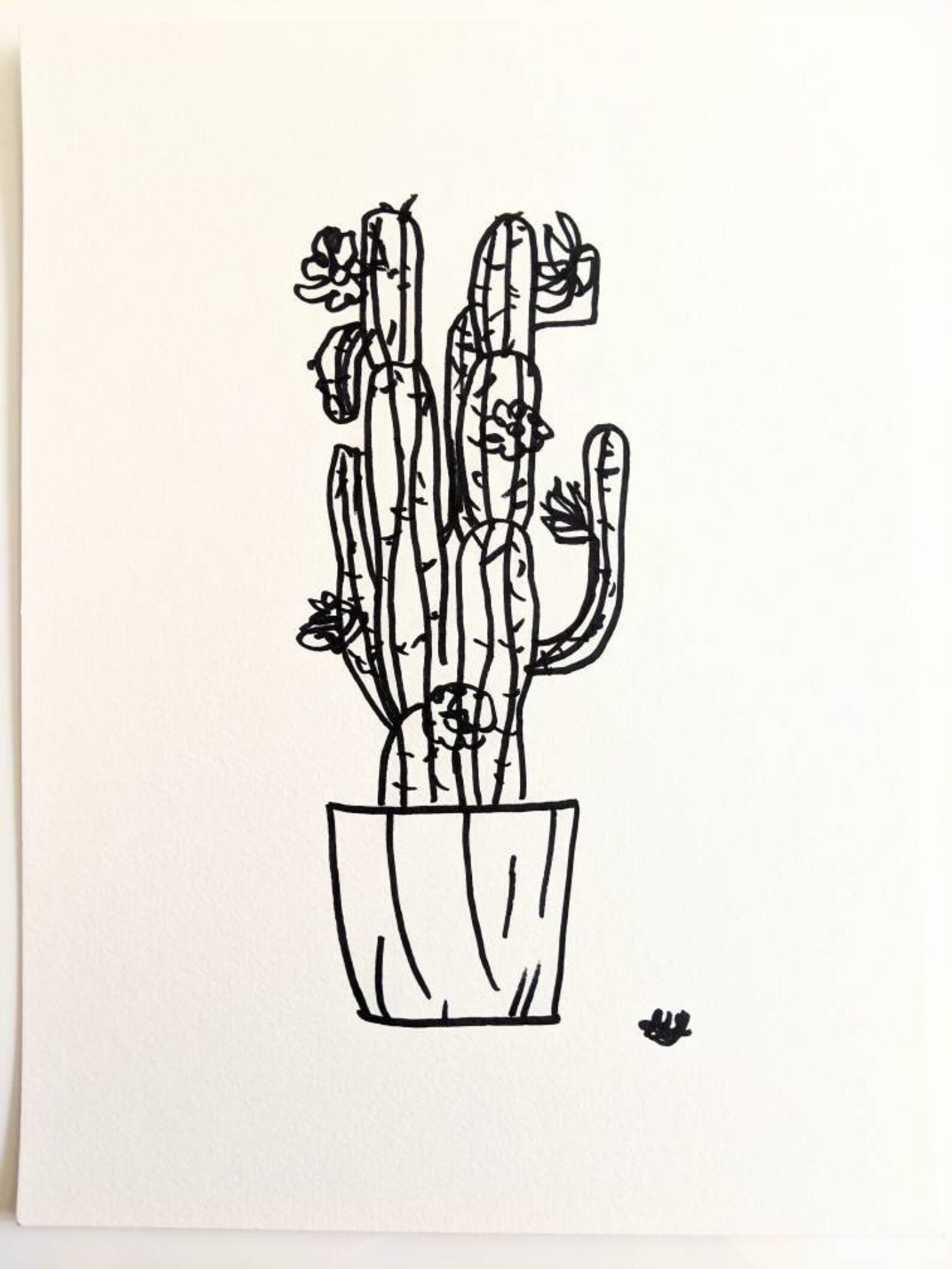 Black Marker Drawing of Cactus Plant on Perle White Paper, Art Piece ...