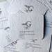 Plantable Calendar 2025, Wild Flower Seeds, Calendar on White Wild ...