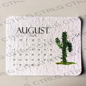 Plantable Calendar 2026, Wild Flower Seeds, Calendar on White Wild ...