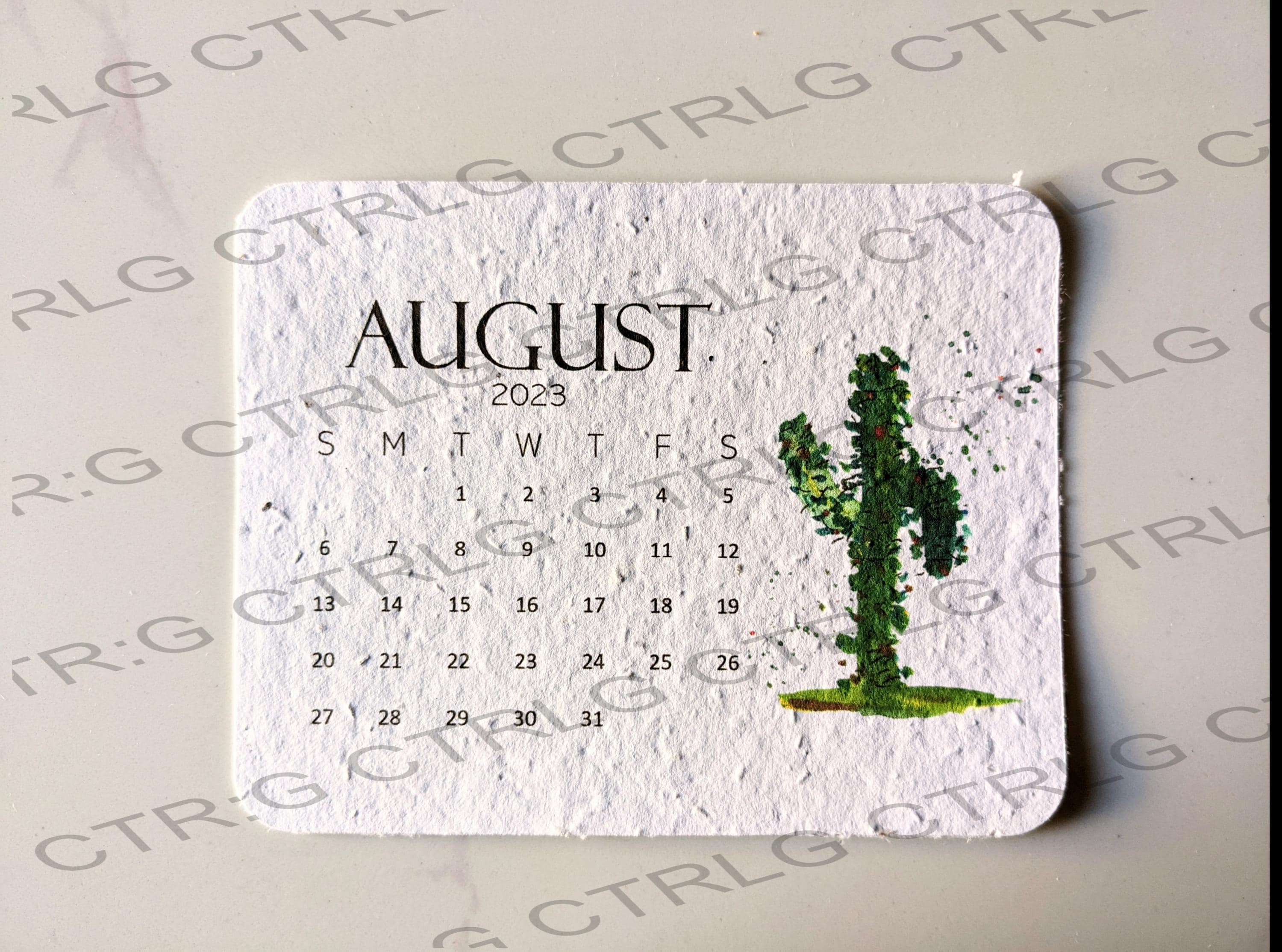 Plantable Calendar 2026, Wild Flower Seeds, Calendar on White Wild ...