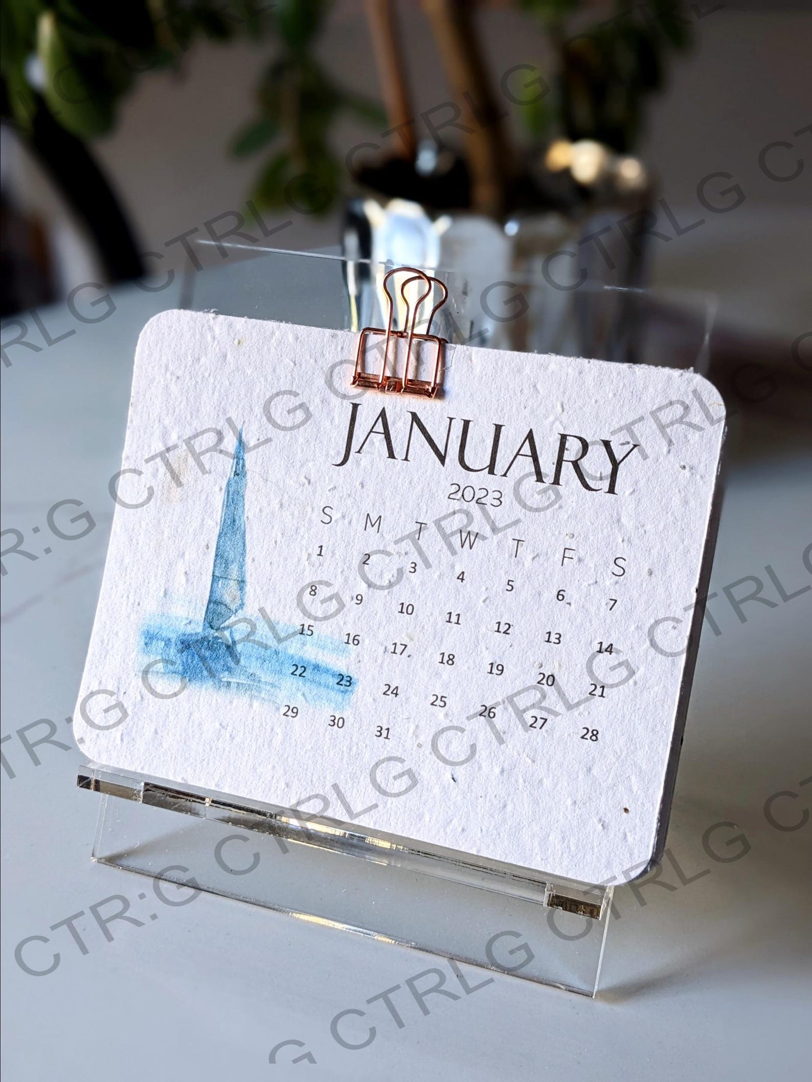 Plantable Calendar 2026, Wild Flower Seeds, Calendar on White Wild ...